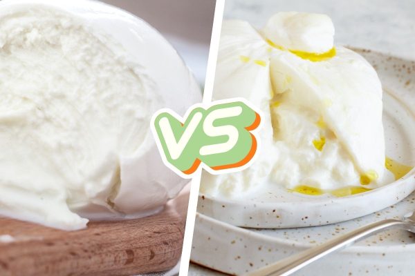 Mozzarella di Bufala vs Burrata : les différences à connaître